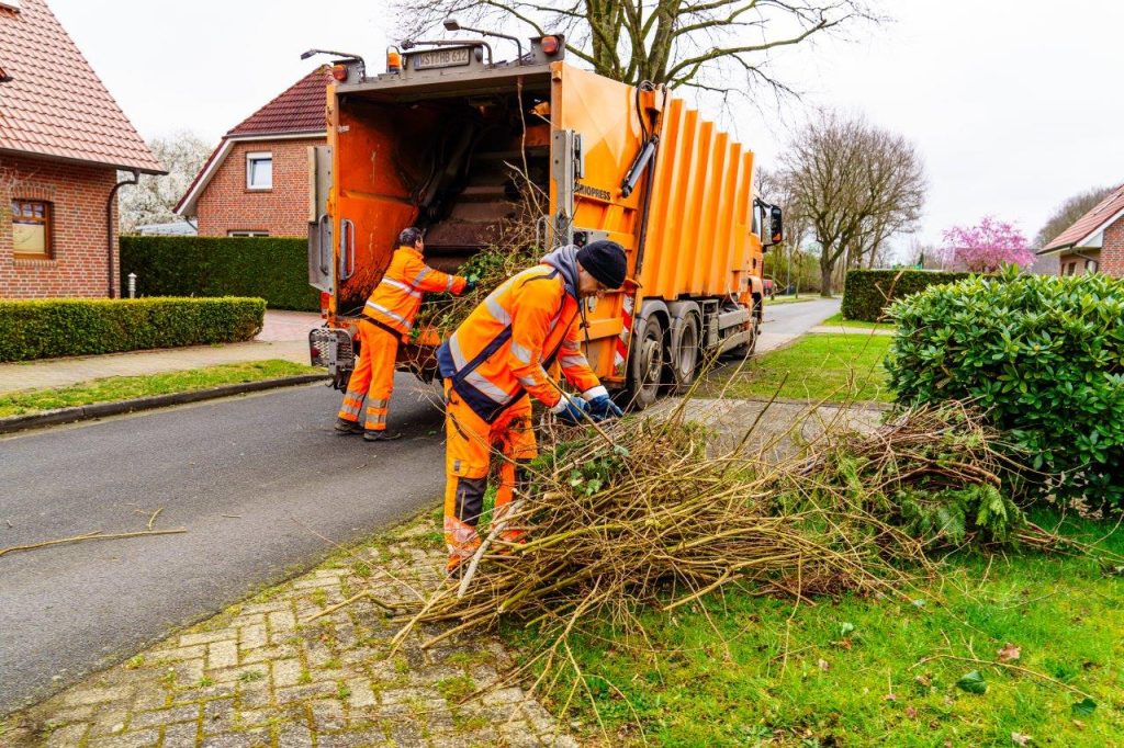 Baum- und Strauchschnittabfuhr Herbst 2024: Termine und wichtige ...