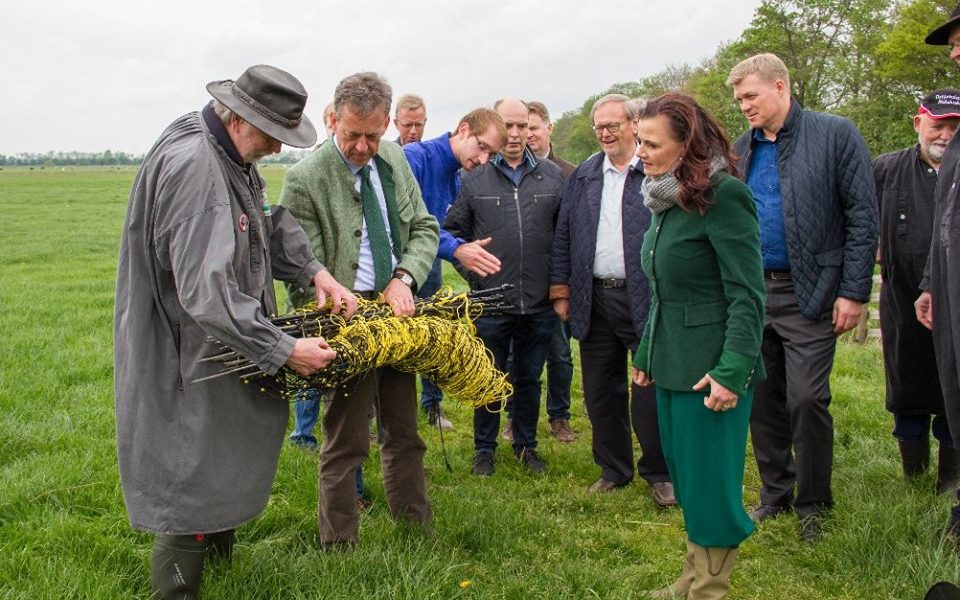 Der Wolf ist zurück - "Viele denken daran aufzugeben" - LeserEcho Leer